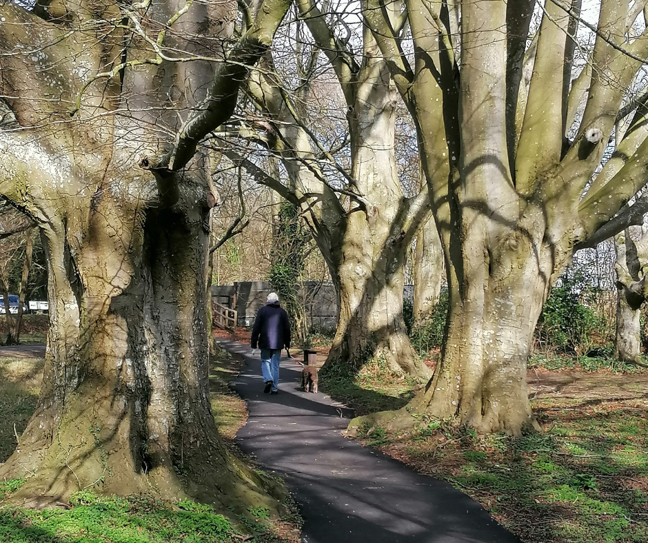 New orienteering course opening - Public Health Dorset - Dorset Council New orienteering course opening - Public Health Dorset - Dorset Council