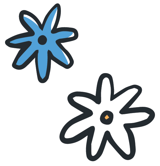 Mapping for Nature Recovery Dorset - Dorset Council